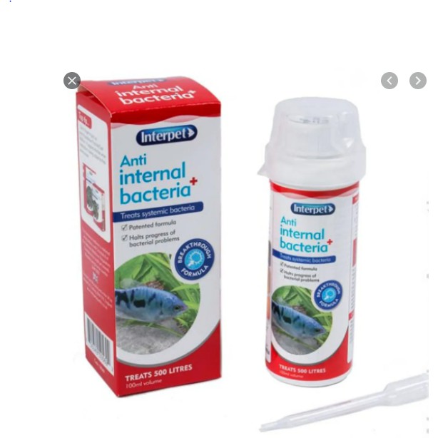 Interpet Anti Internal Bacteria Fish Treatment 100ml | Shopee Philippines