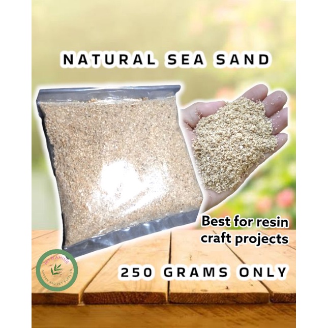 SAND WHITE SAND AQUARIUM TERRARIUM AQUA SCAPE SUBSTRATE | Shopee ...