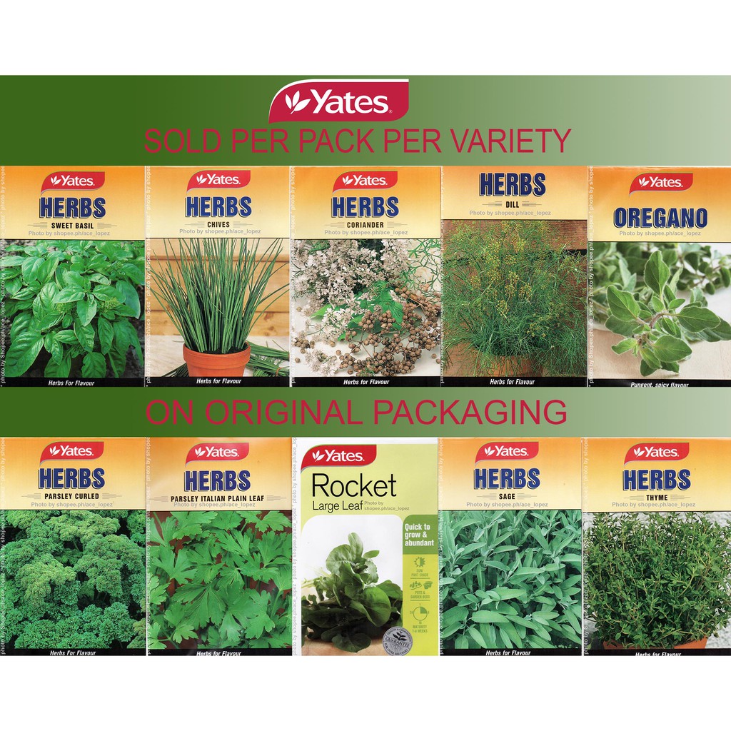 Yates Packet Herb Seeds [B-T] Basil to Thyme _ALS2127 | Shopee Philippines