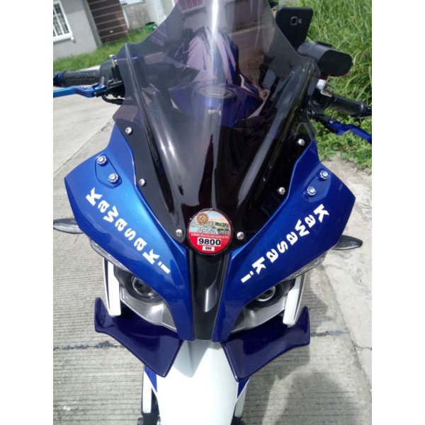 ROUSER RS200 Winglet | Shopee Philippines