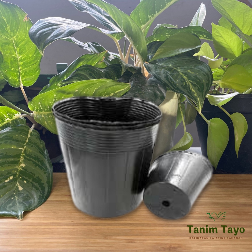 TanimTayo Black Soft Pots Small 10.5cm Polyethylene Plastic Nursery ...