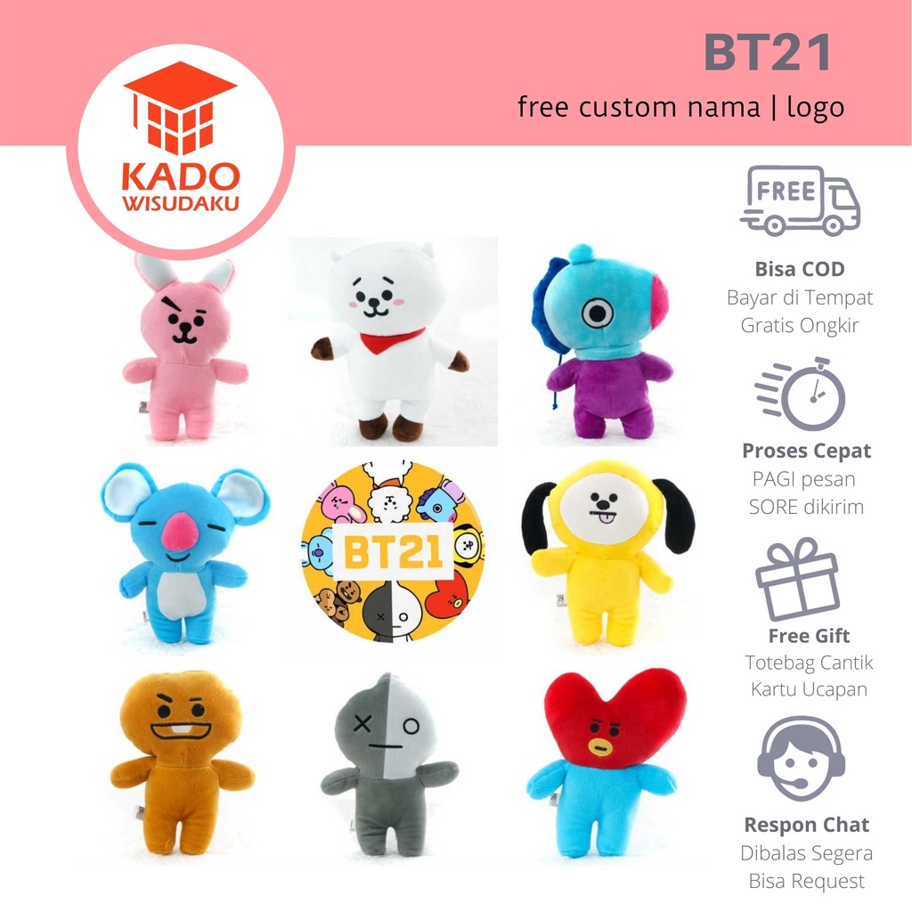 BT21 Boy Band Korean BTS Fandom Army Kpop SNI Graduation Doll | Shopee ...