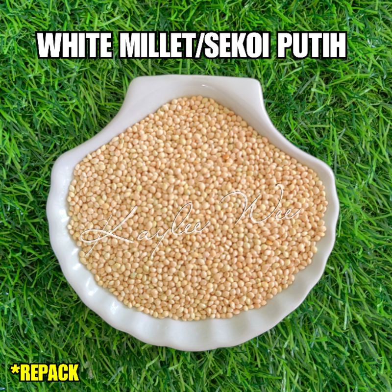 PUTIH White MILLET/WHITE COMB/WHITE SKOLE 1KG | Shopee Philippines