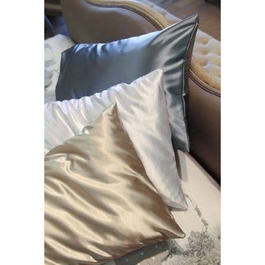 Soft Silk Satin 18x18 Throw Pillowcase | Shopee Philippines