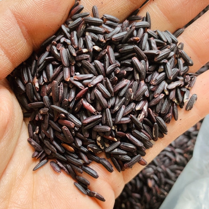 Black BROWN RICE TYPE 1 PACKAGE 500g/1kg | Shopee Philippines