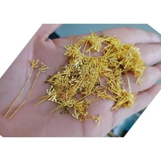 k18 - Best Prices and Online Promos - Jun 2024 | Shopee Philippines