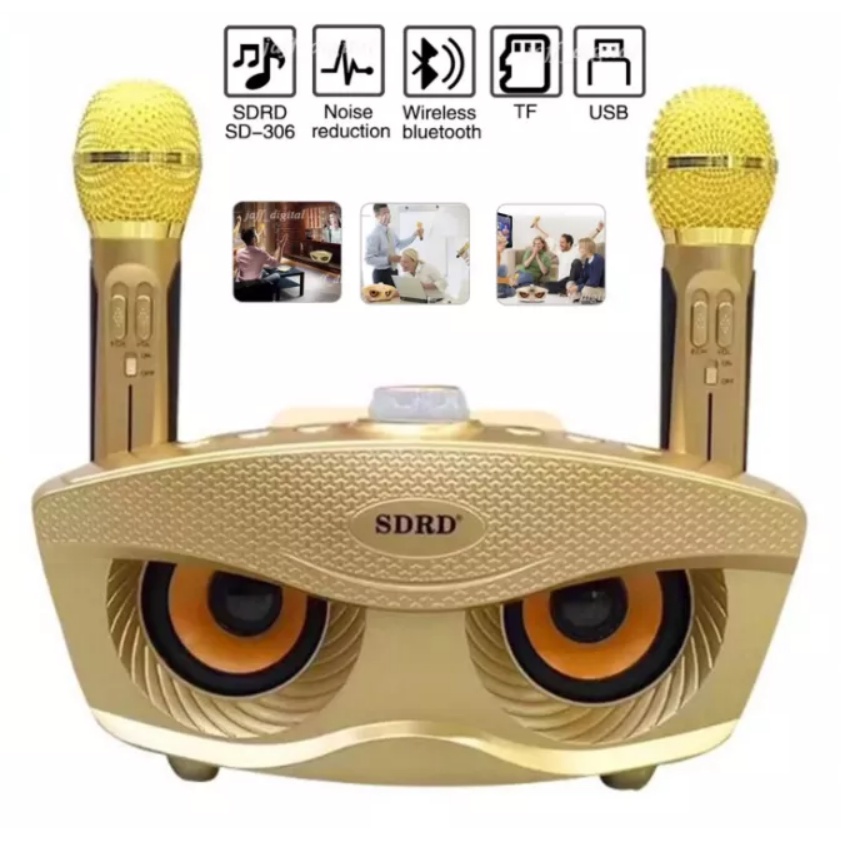 FT STAR SDRD SD-306 Wireless Bluetooth Dual Microphone Karaoke Portable 3D Stereo Speaker mic ...