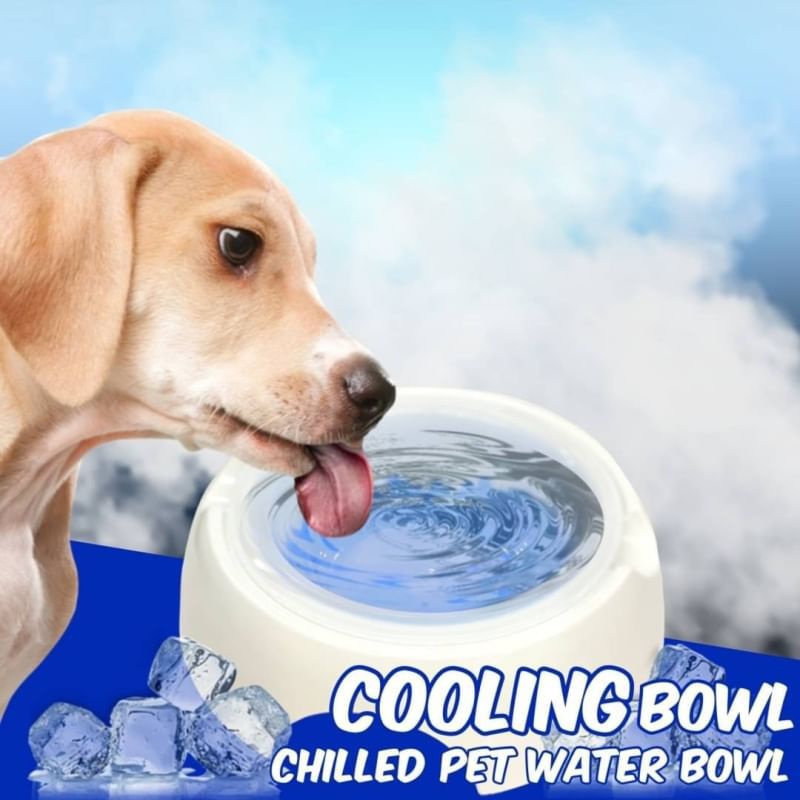 New Arrivals Today Cooling bowl Gel Pet Solution | Shopee Philippines