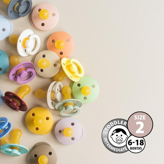 BIBS Pacifier ( Pacifier) - Size 2 (6-18 Months) | Shopee Philippines