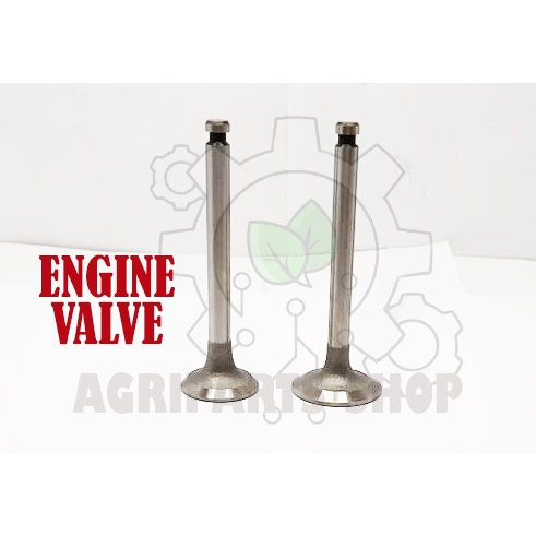 Engine Valve In Ex Set (PAIR) FOR TF55 TF60 TF65 TF70 TF75 TF80 TF85 ...
