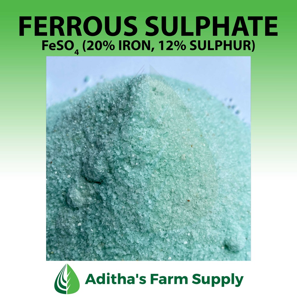 Ferrous Sulfate Fertilizer (FeSO4) Agricultural Grade - 200 grams / 1 kg by Aditha's | Shopee ...