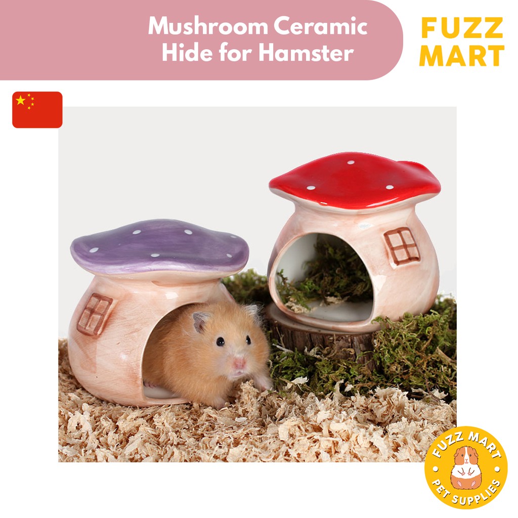 Mushroom Ceramic Hide for Hamsters (4 colors available) | Shopee ...