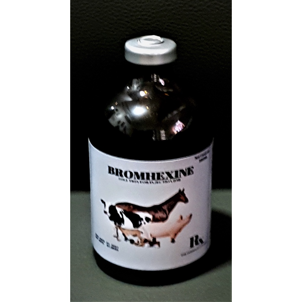 BROMHEXINE INJ 100ML | Shopee Philippines