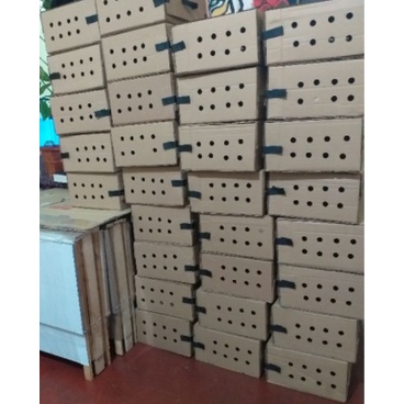 Single Carton Derby Box for Game Fowl | Shopee Philippines