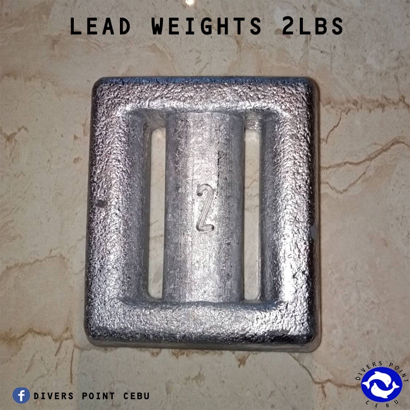 GENERIC LEAD WEIGHTS 2LBS | Shopee Philippines