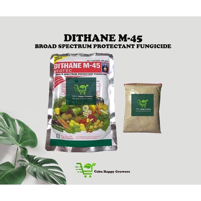 30g Dithane M-45 Broad-Spectrum Protective Fungicide | Shopee Philippines