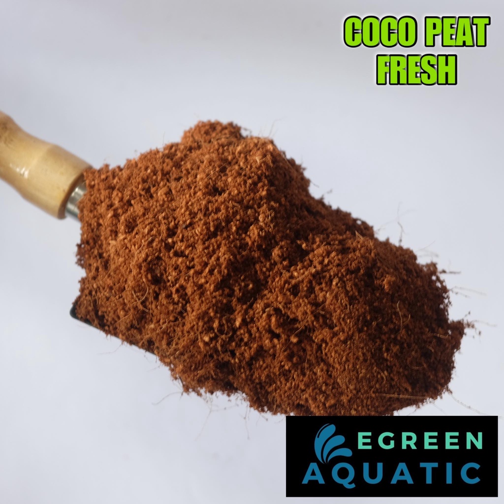 Coco Peat 2Liters Tarantula Bedding Substrate Spider Litter | Shopee ...