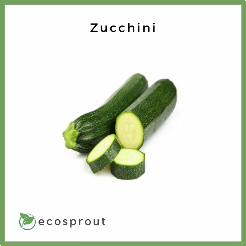 Fresh Zucchini | 500g | Fresh Vegetables | Fresh Fruits | Groceries ...
