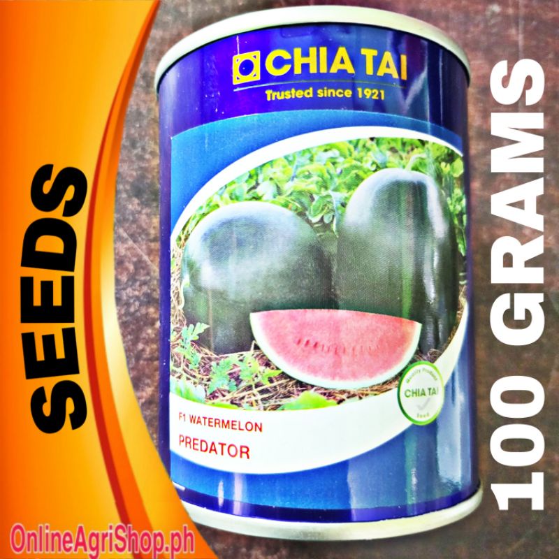 PREDATOR F1 HYBRID WATERMELON SEEDS (100 GRAMS OR 3000 SEEDS) BY CHIA ...