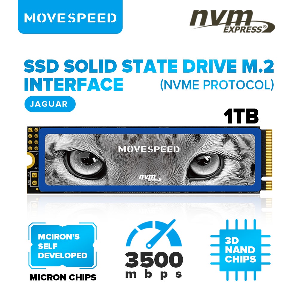 Move Speed Jaguar SSD Solid State Drive 512GB| 1TB Internal Hard Disk ...