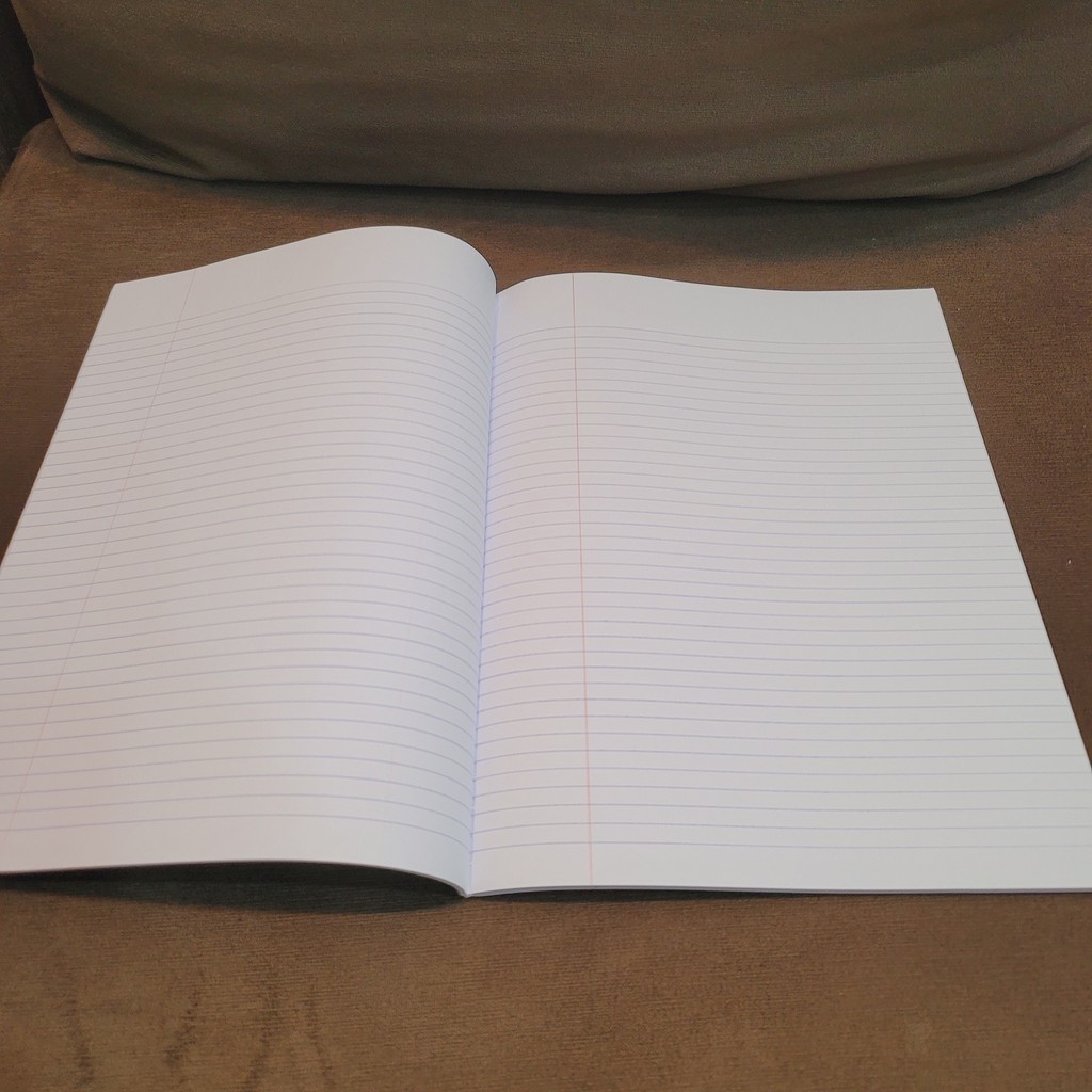 Veco Bir Bookkeeping Ledger Journal, Ledger, Cash, Record, Sales ...