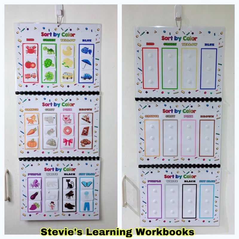 COLOR RECOGNITION- Interactive laminated detachable busy book/quiet ...