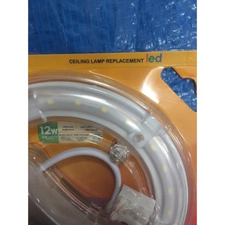 FIREFLY Basic Series LED Circular (LED Ceiling Lamp Replacement ...