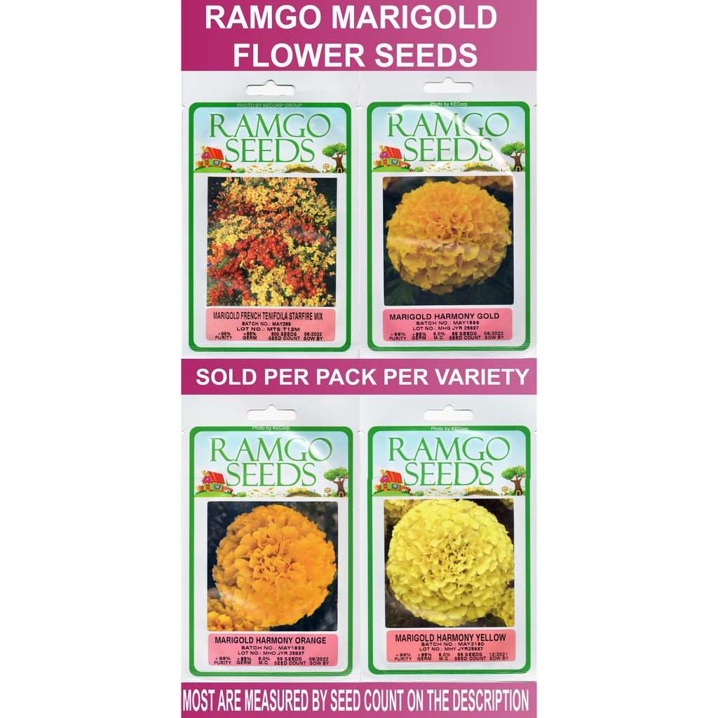 Ramgo Marigold Flower Seeds - Sold per Pack per Variety KECORP_S1 ...