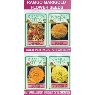 Marigold Seeds - Best Prices and Online Promos - Mar 2026 | Shopee ...