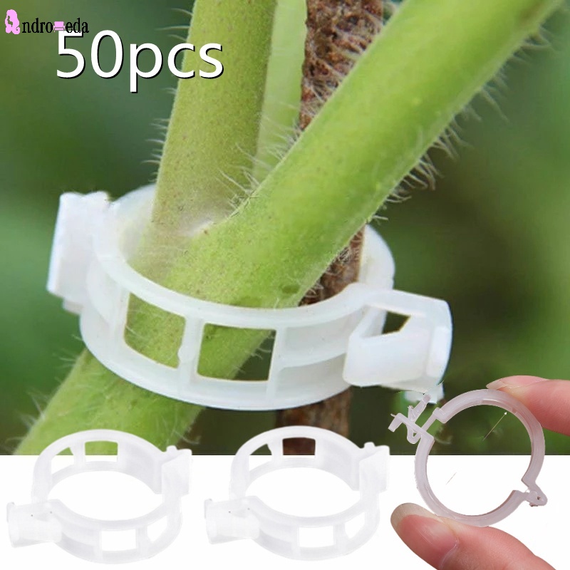 50Pcs Plant Clips Climbing Wall Fixture Clamp Rattan Vine Flower ...