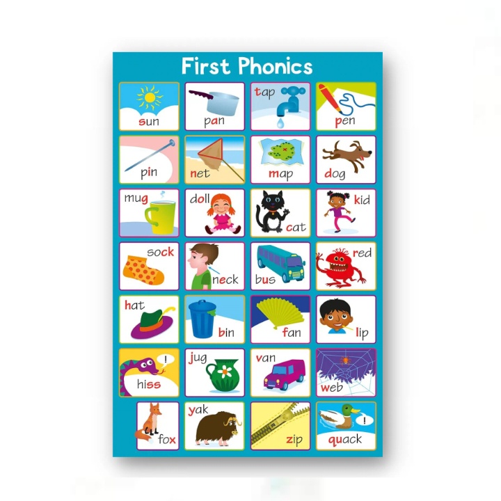 Laminated First Words, First Phonics, Alphabet, Adding Up, Human Body ...