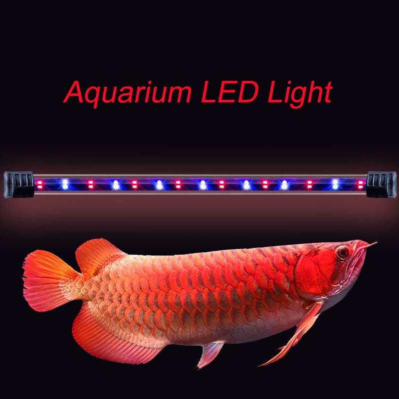 AQUARZOO Aquarium Fish Tank LED light RGB,Lampu Aquarium LED Light for ... AQUARZOO Aquarium Fish Tank LED light RGB,Lampu Aquarium LED Light for ...