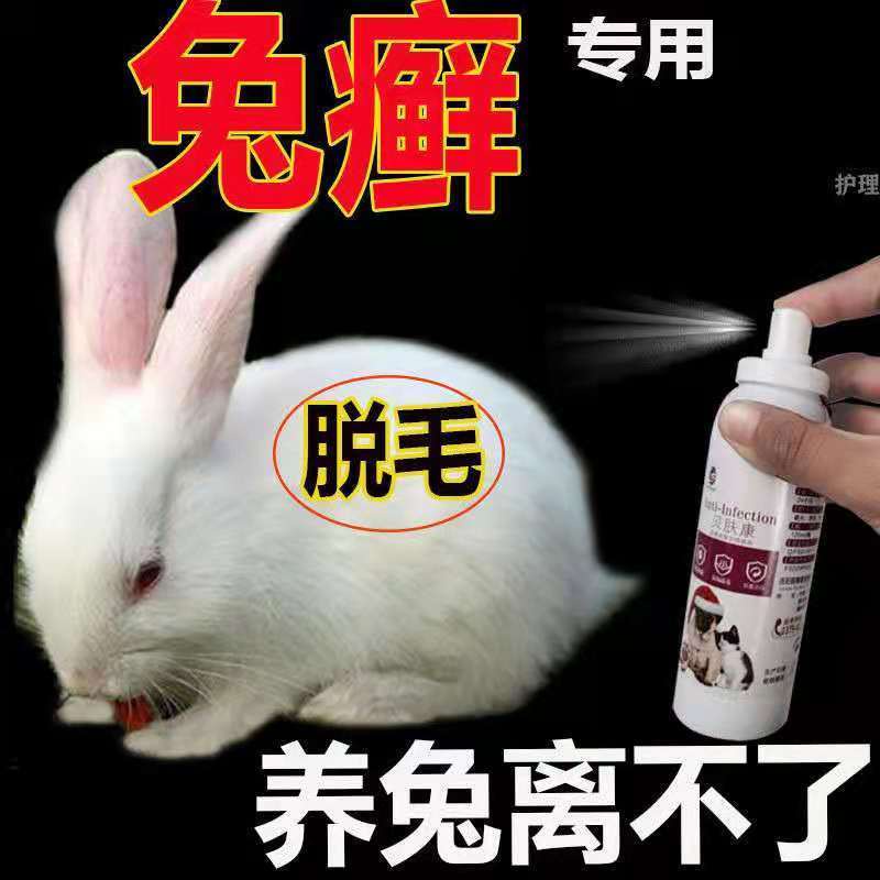 Rabbit Skin Disease Medicine Mites Fungal Infection Hair Removal ...