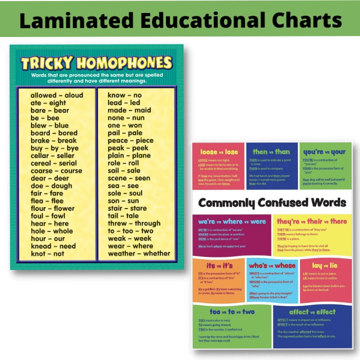 Laminated Tricky Homophones Chart for Students and Teachers, English ...