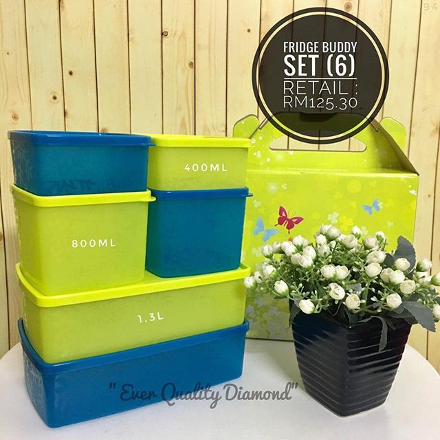 FRIDGE BUDDY SET TUPPERWARE | Shopee Philippines