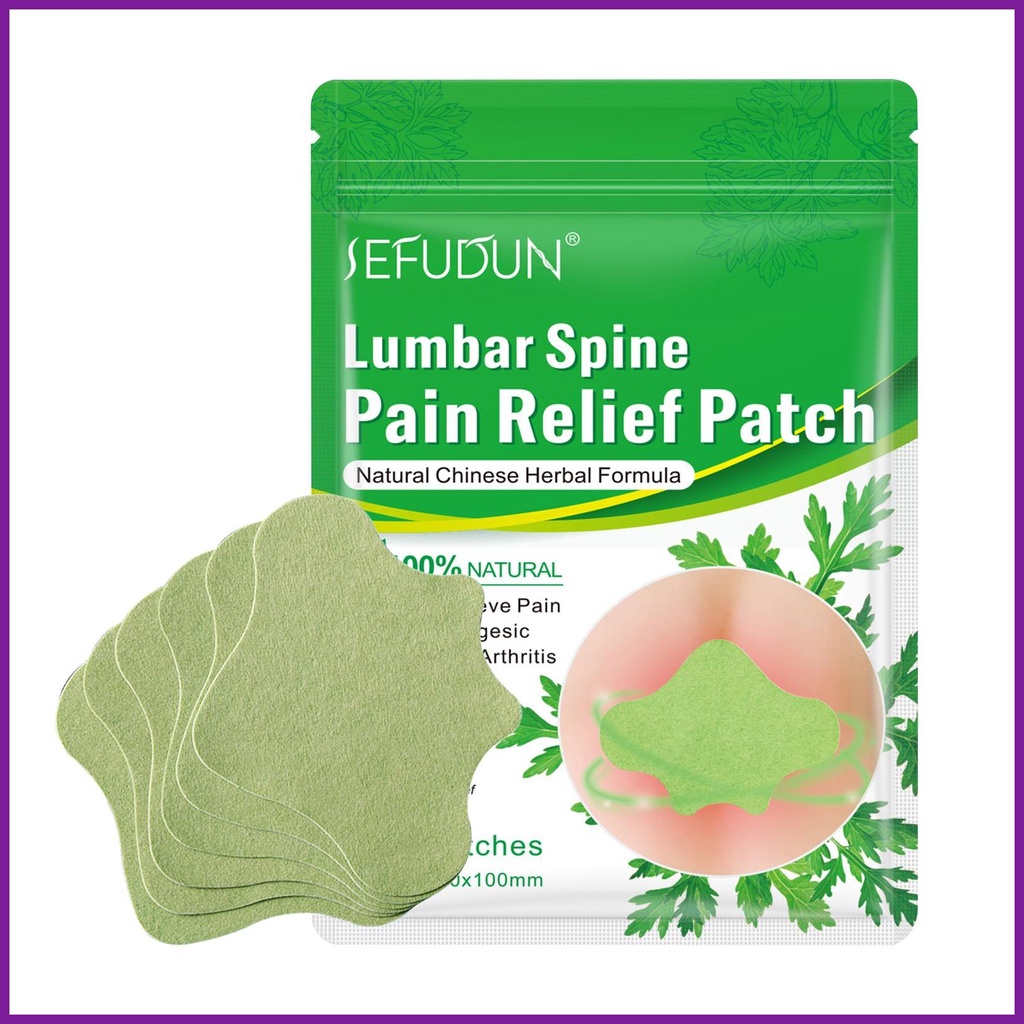 Lumbar Spine Stickers Self-Heating Lumbar Patches 12 PCS Herbal Extract ...