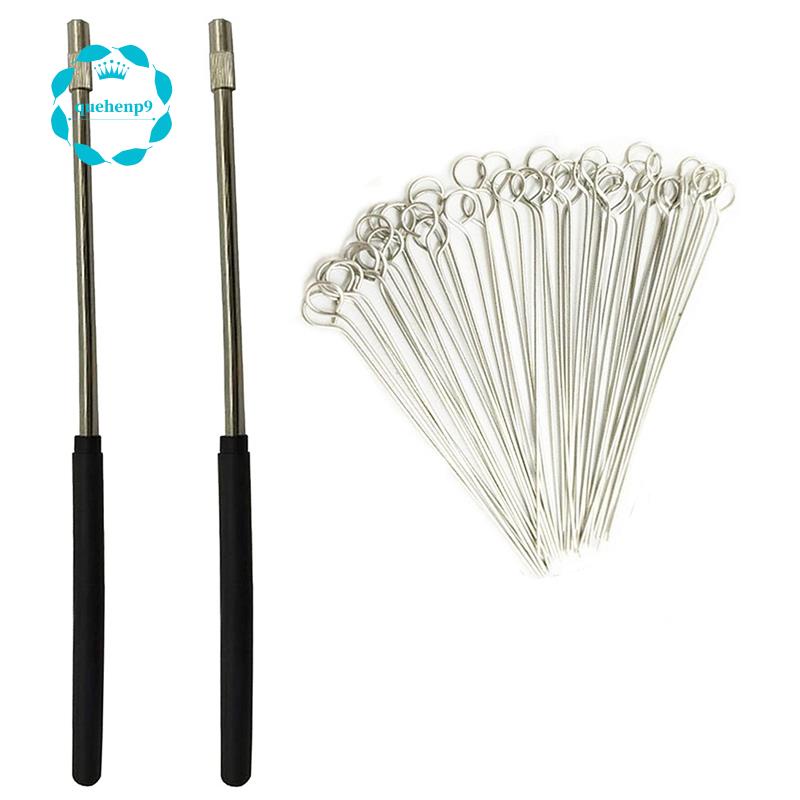 2PCS Reusable Inoculating Loop Holders with 50Pcs 10UL Nichrome Tips ...