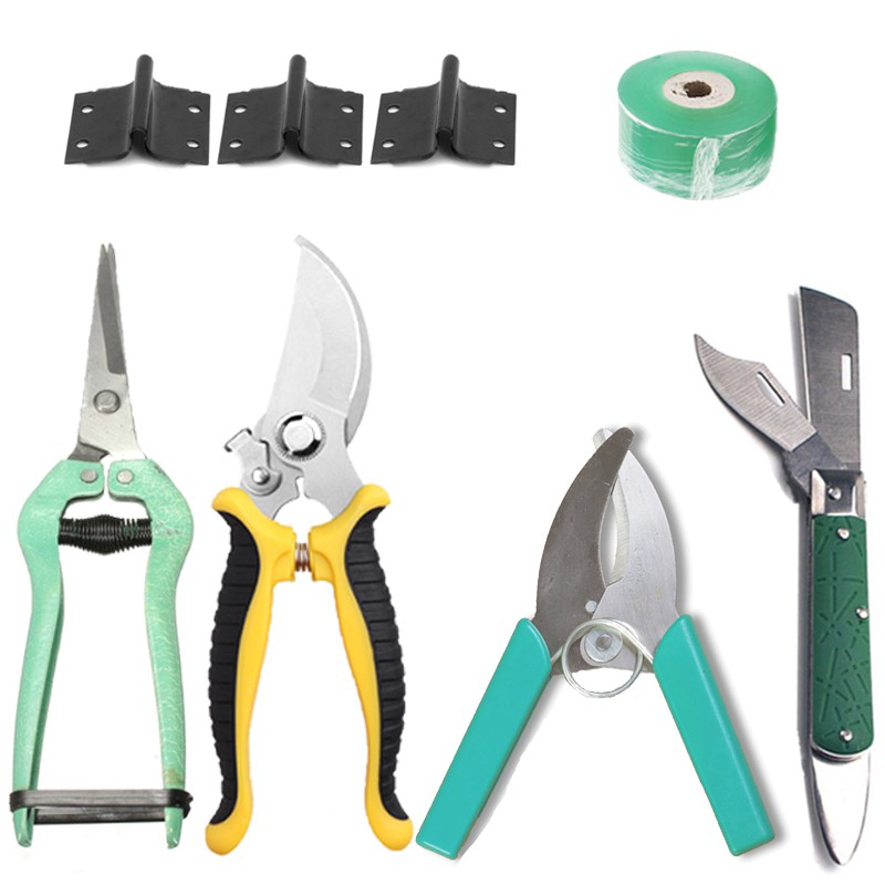 Grafting folding Garden Seedling Cutting Tool Fruit Tree plant florist ...