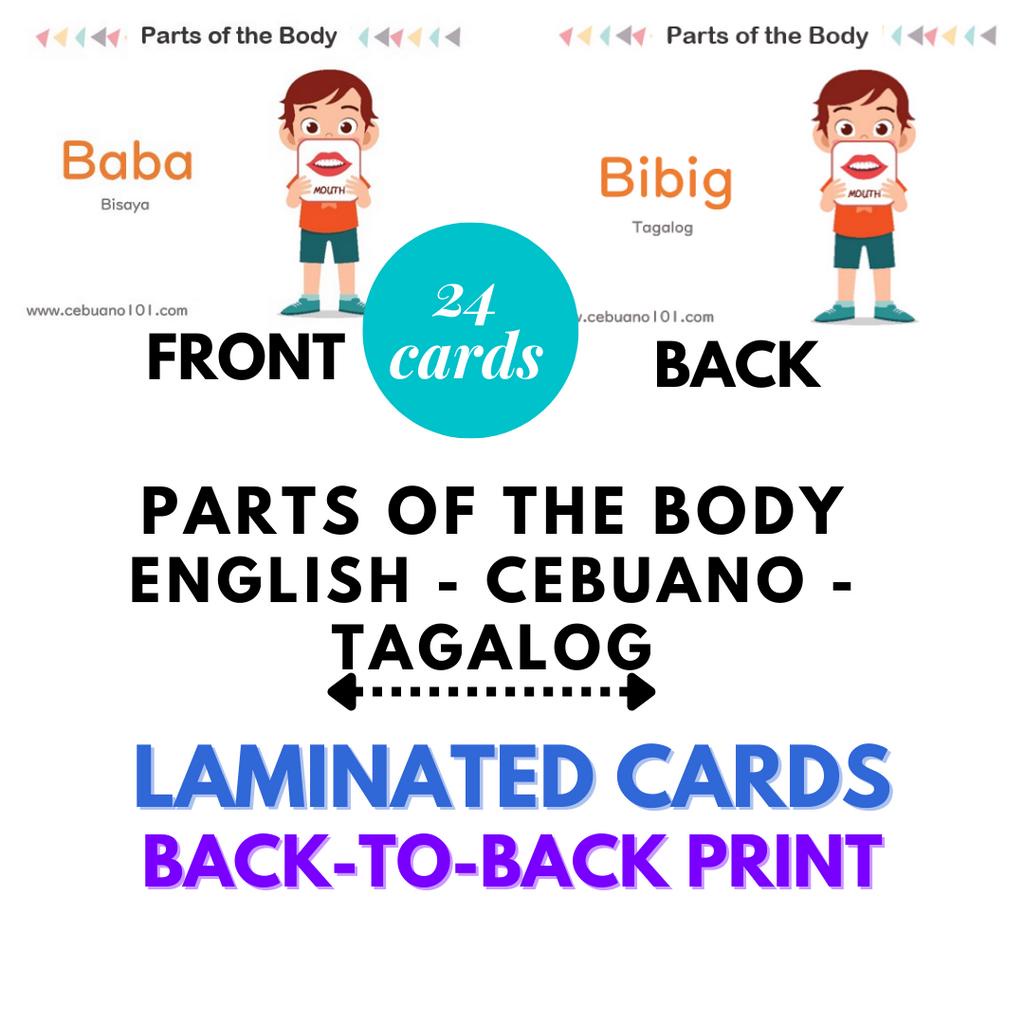 FLASHCARDS English-Cebuano-Tagalog Parts of the Body 24 cards | Shopee ...