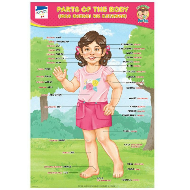 Joytoy Early Learning Posters 2,3,4(Min of 3 posters/order) | Shopee ...