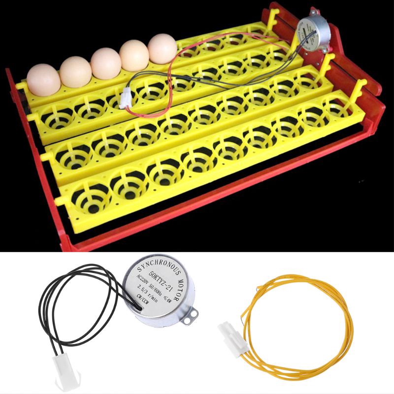 btsg* 220V Motor Egg Turner Motors For Automatic Bird Hatcher | Shopee ...
