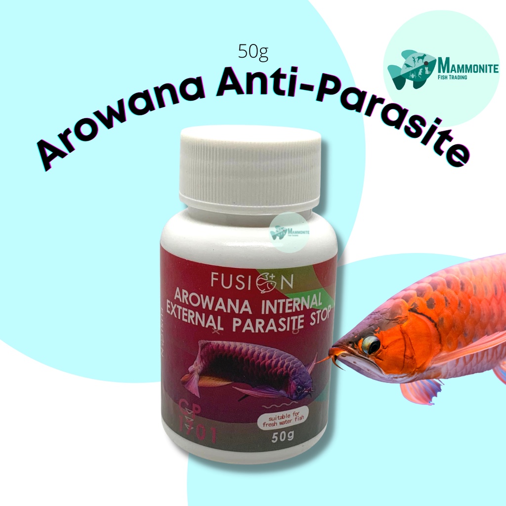 Aquarium Fish Fusion Arowana Internal External Parasite Stop Treatment ...