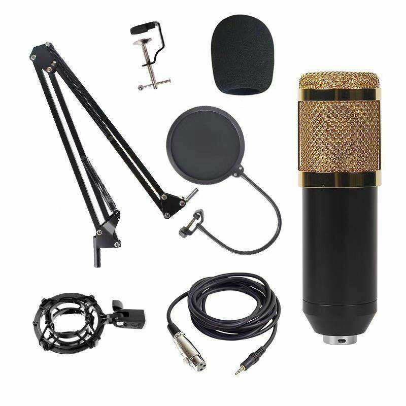 PROFESSIONAL MICROPHONE CONDENSES FOR COMPUTER & STUDIO | Shopee ...