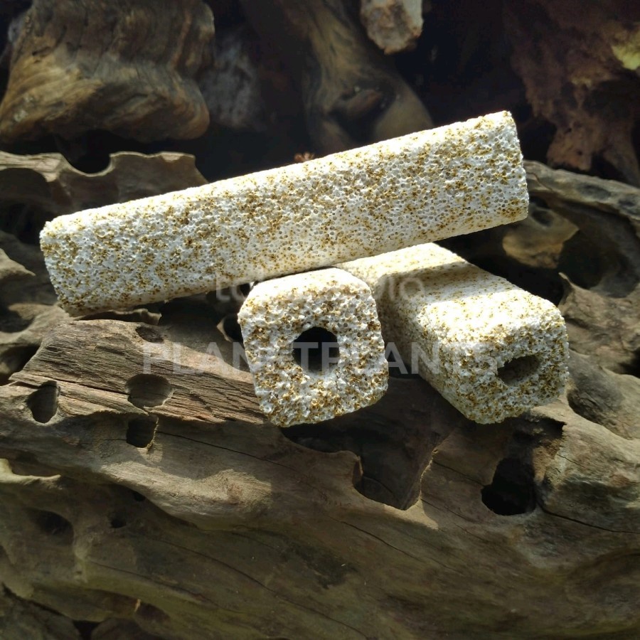 Bacteria HOUSE L 15CM KTK ECO BIO BLOCK FILTER KOI Pond MEDIA | Shopee ...