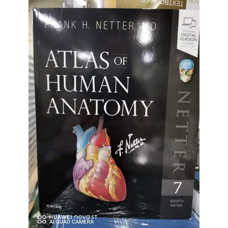 Atlas of Human Anatomy 7th Edition Digital version Frank H. Netter ...