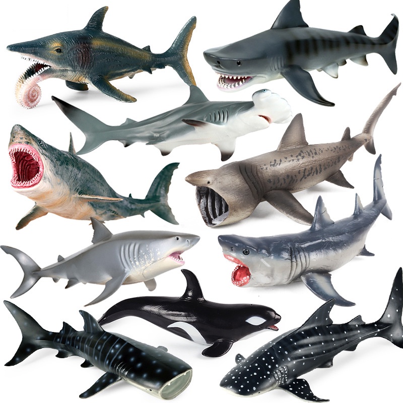 Marine animal basking shark megalodon killer whale simulation model ...