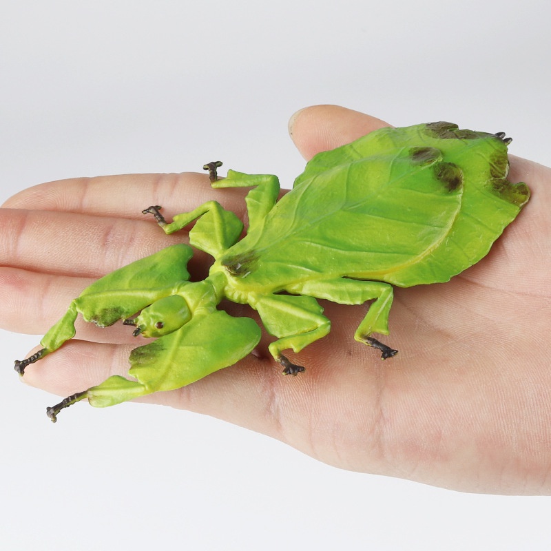 Model Phyllium Giganteum Giant Leaf Insect Imitation Toy Children ...