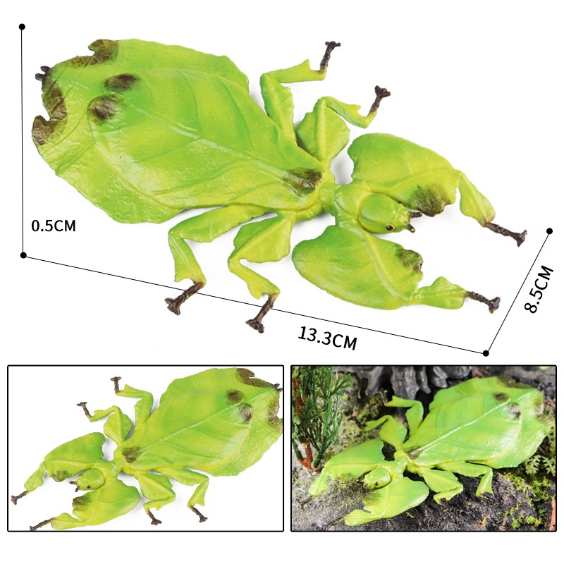 Model Phyllium Giganteum Giant Leaf Insect Imitation Toy Children ...