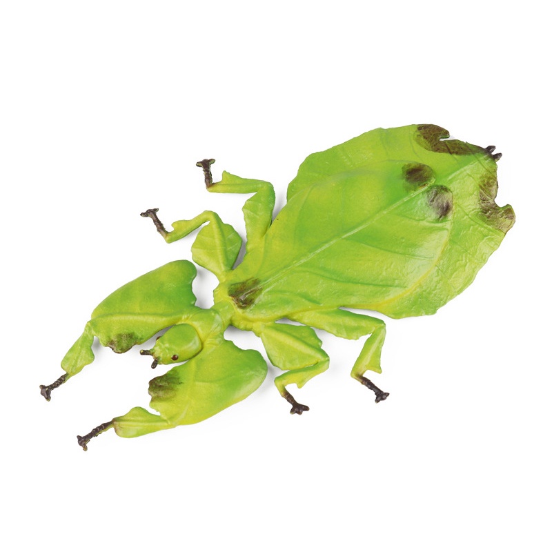 Model Phyllium Giganteum Giant Leaf Insect Imitation Toy Children ...