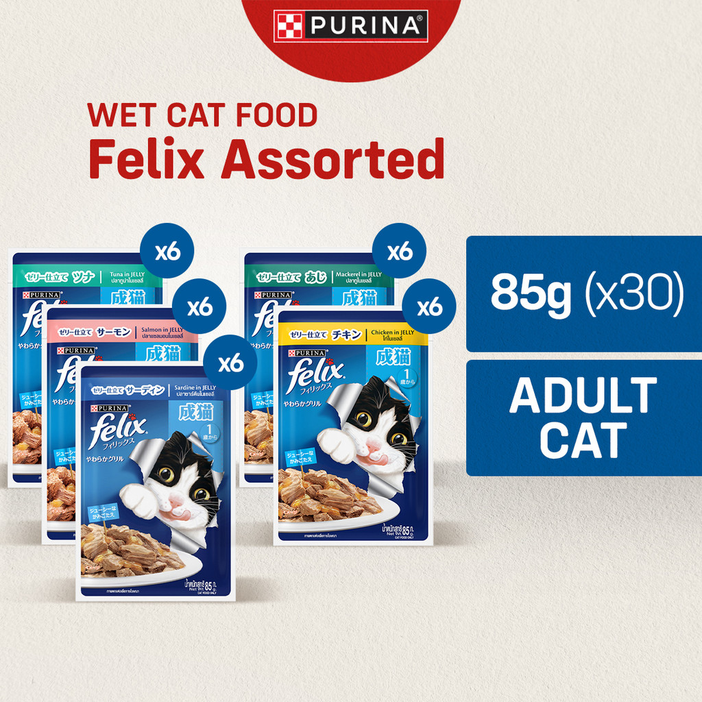 Nestle Purina FELIX Salmon, Mackerel, Tuna, Sardine, & Chicken Assorted ...
